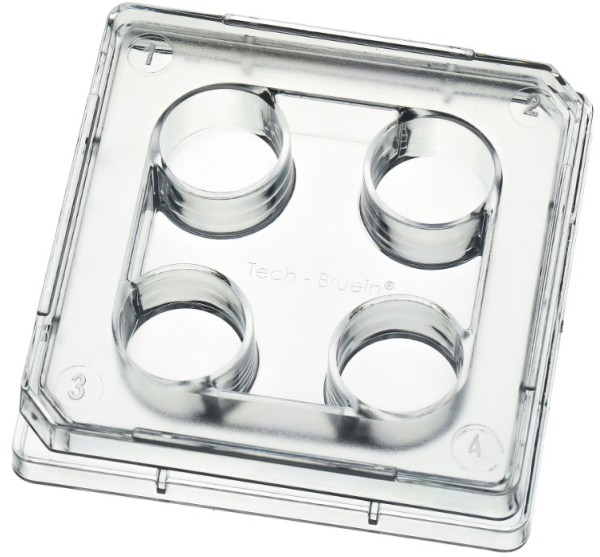 IVF Four Well Dish petri dish